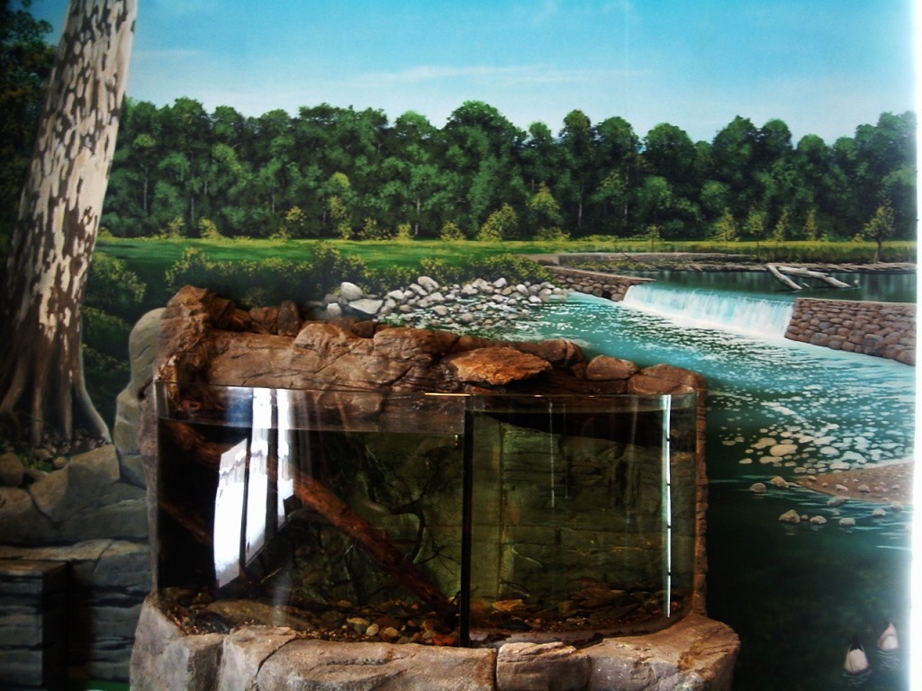 Pennypack Environmental Center, Philadelphia PA | Googleplex Murals